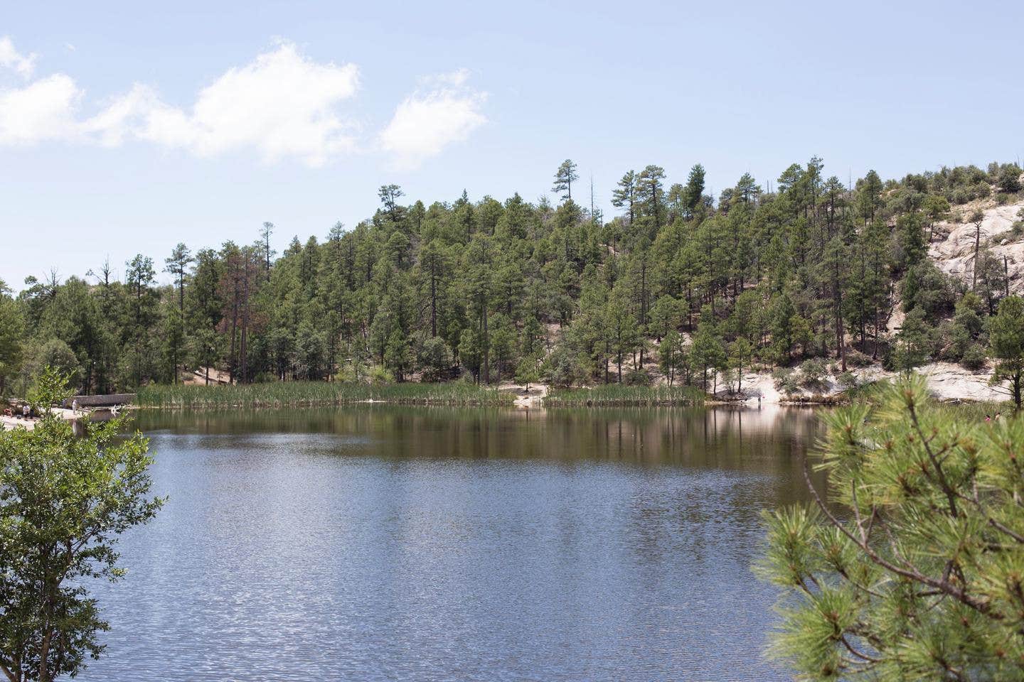Rose Canyon Campground | Mt. lemmon, AZ