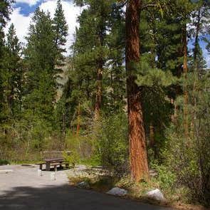 Baumgartner Campground Camping | The Dyrt