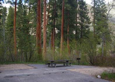 Baumgartner Campground Camping | The Dyrt