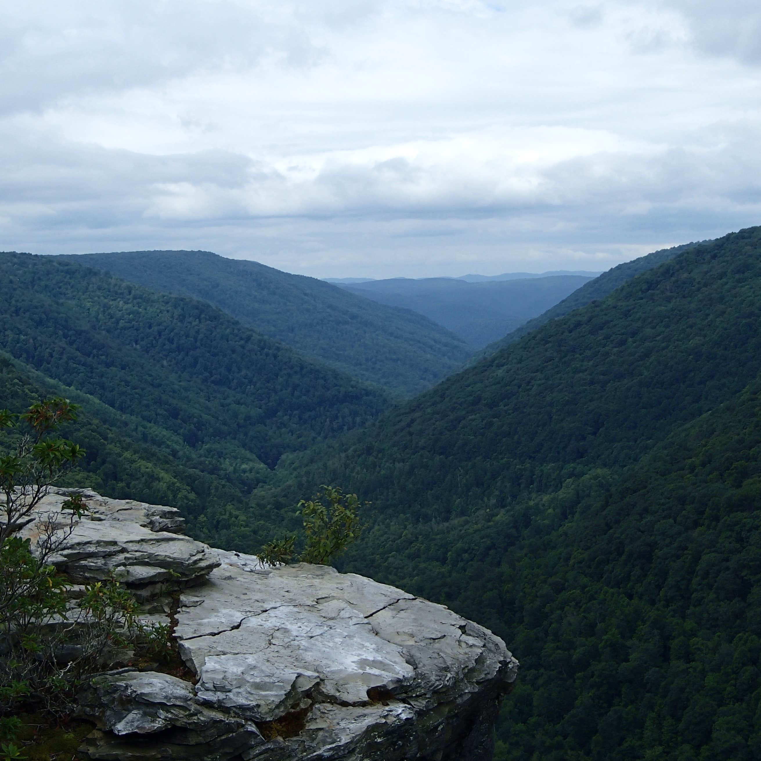 Coopers Rock State Forest Camping | The Dyrt