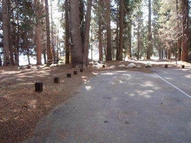 THE 10+ BEST Campgrounds near Sierra National Forest