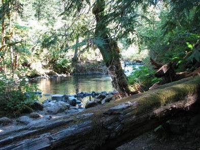 Roaring River Campground | Welches, OR