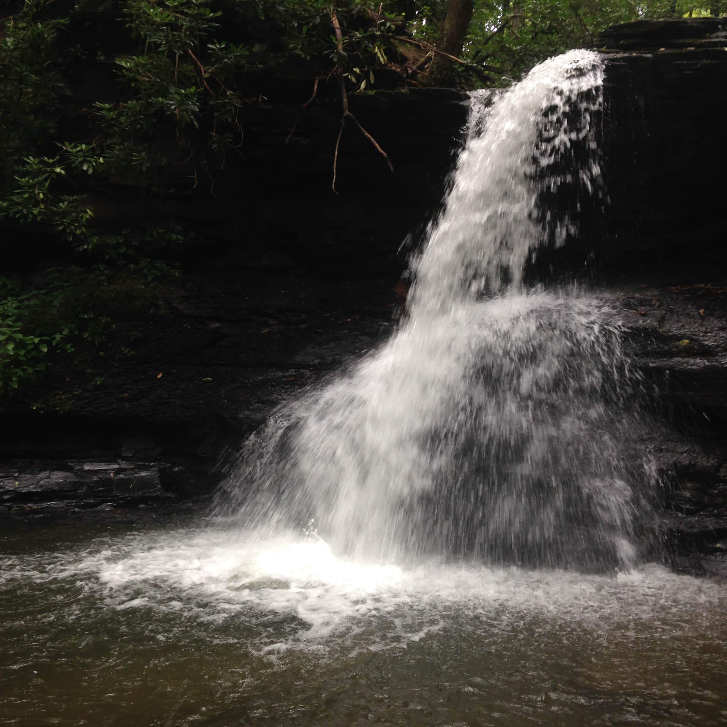 Holly River State Park Camping | The Dyrt