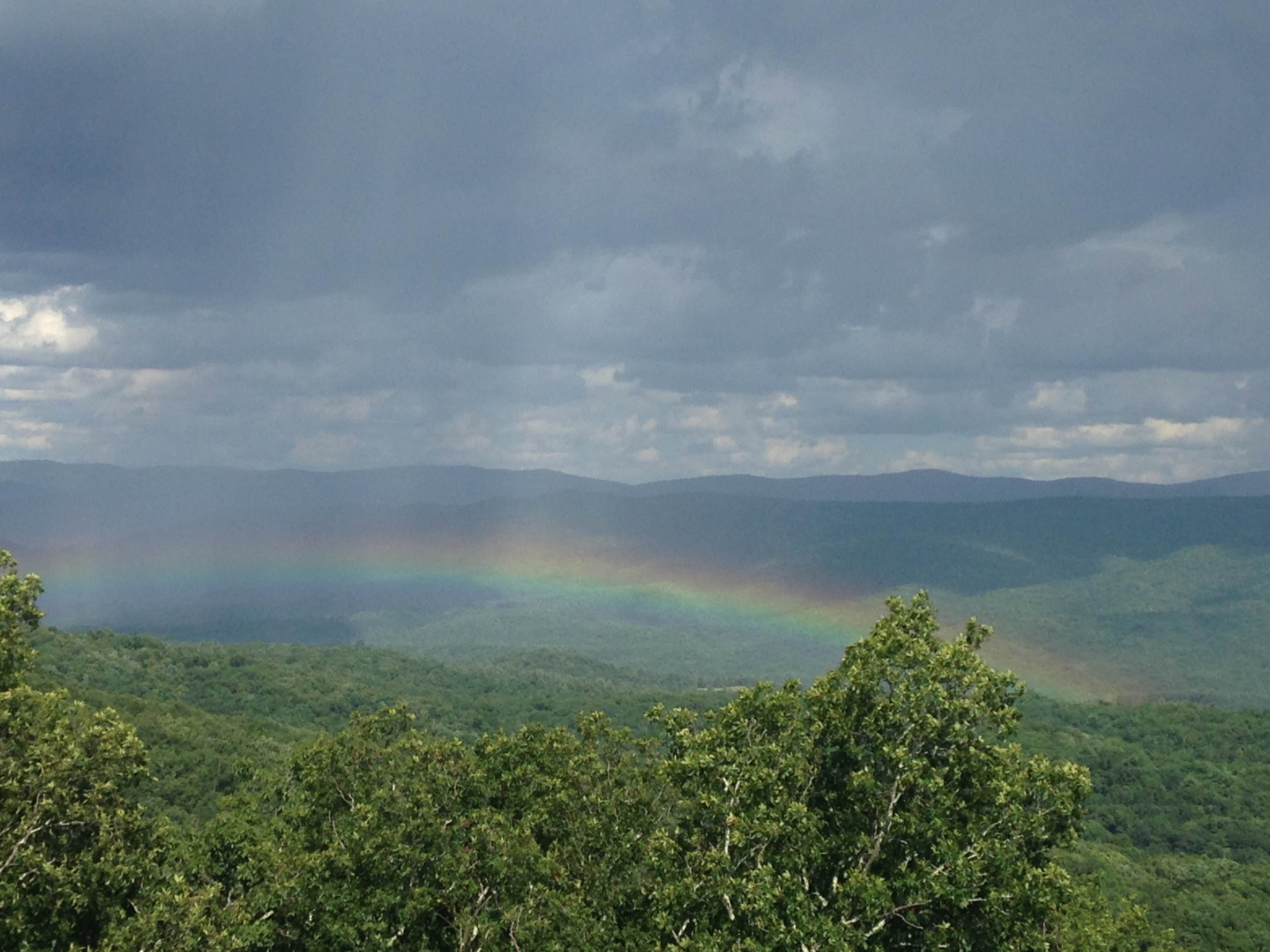 Seneca State Forest Camping | Dunmore, WV
