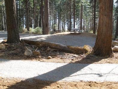Ponderosa Cove Group Campground | Pollock Pines, CA