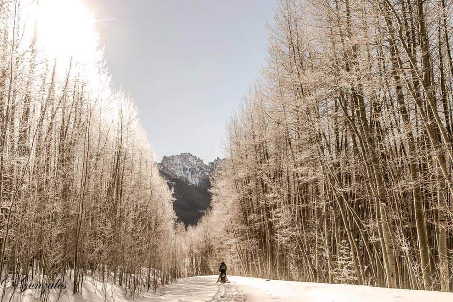 Jackson Guard Station Camping | Ridgway, CO | The Dyrt