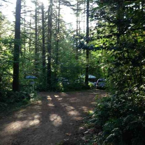 Big Fir Campground & RV Park | Ridgefield, Washington