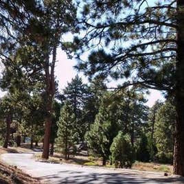 Table Mountain Campground Camping | The Dyrt