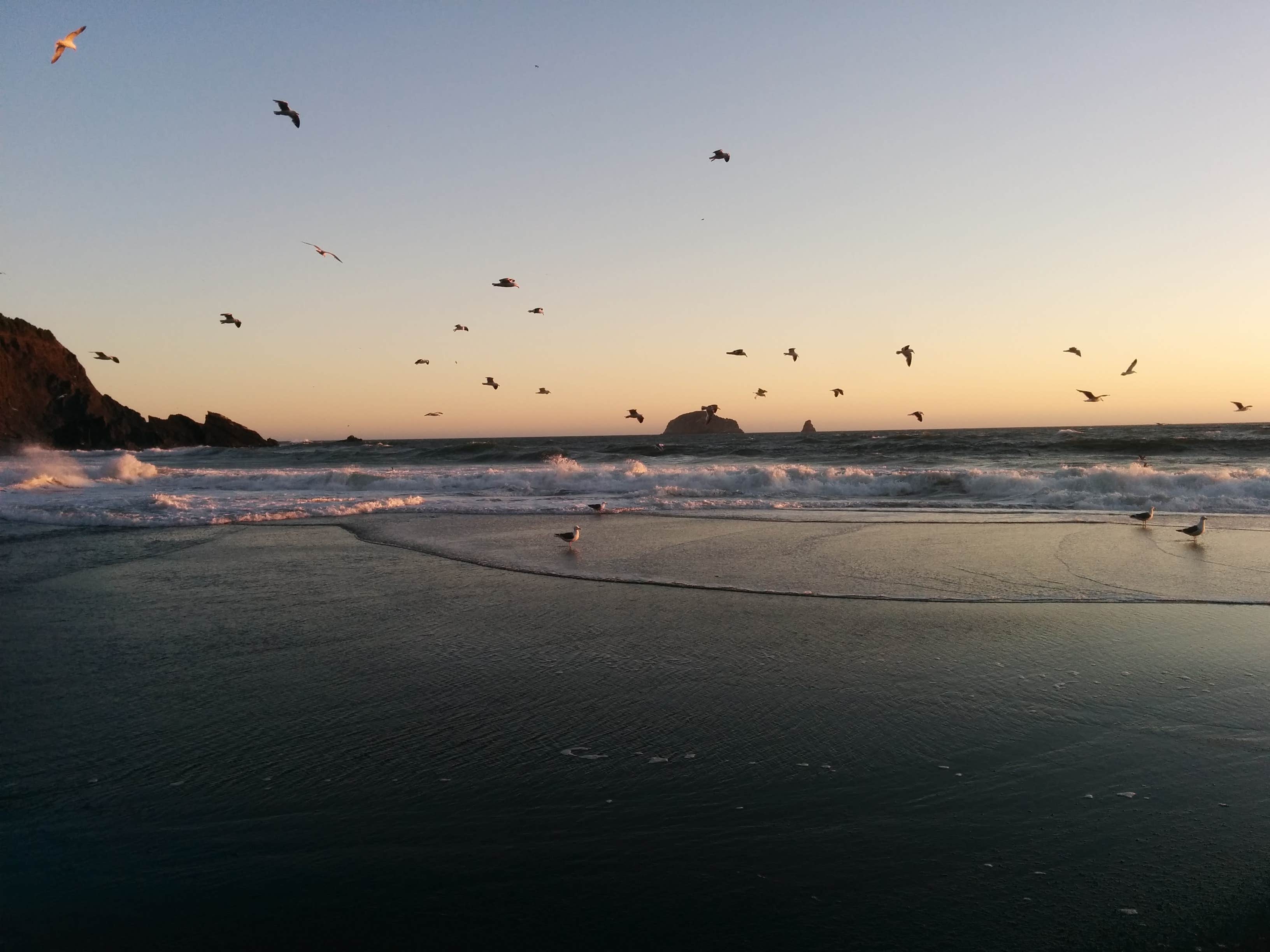 Humbug Mountain State Park Campground | Port Orford, Oregon