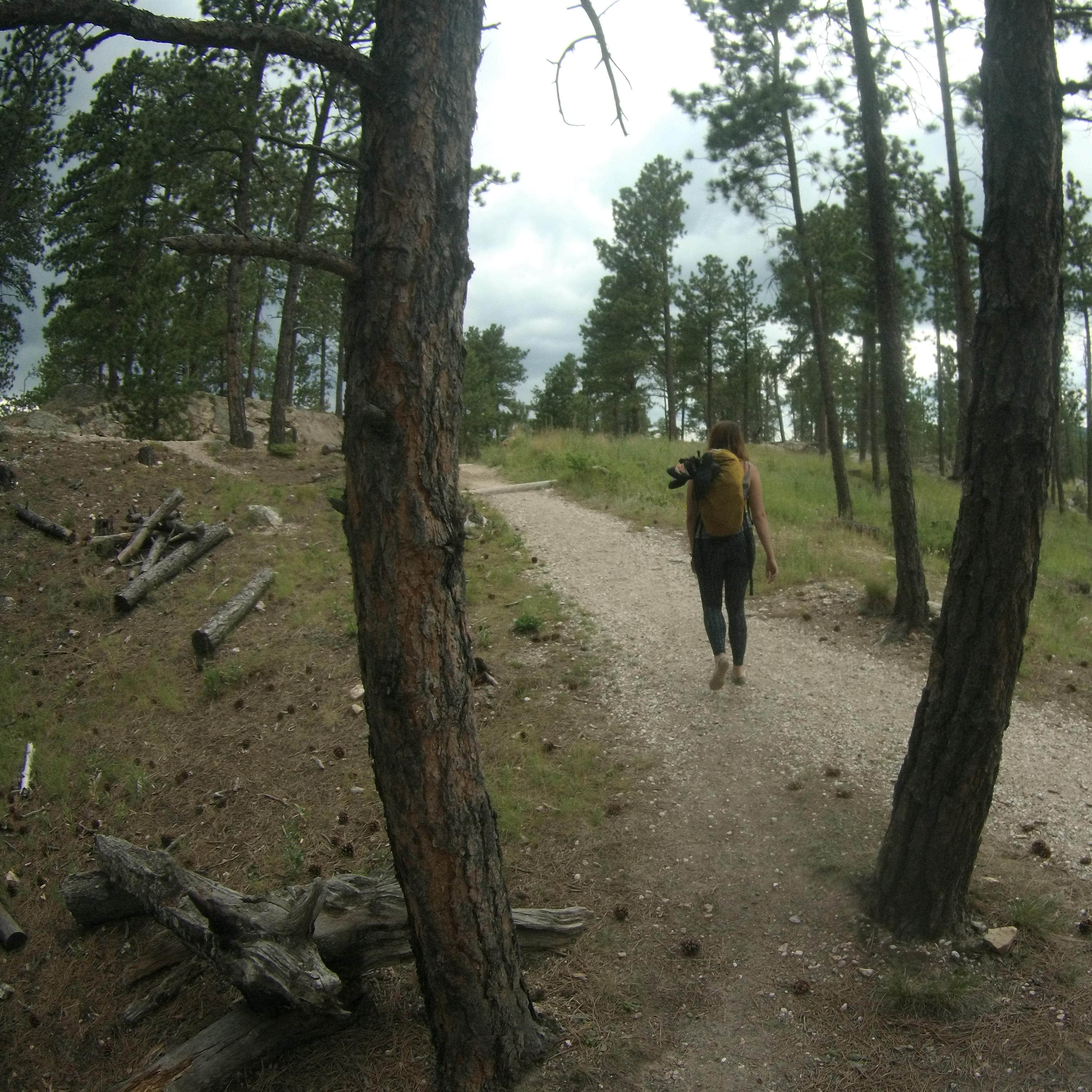 Wrinkled Rock Camping | The Dyrt