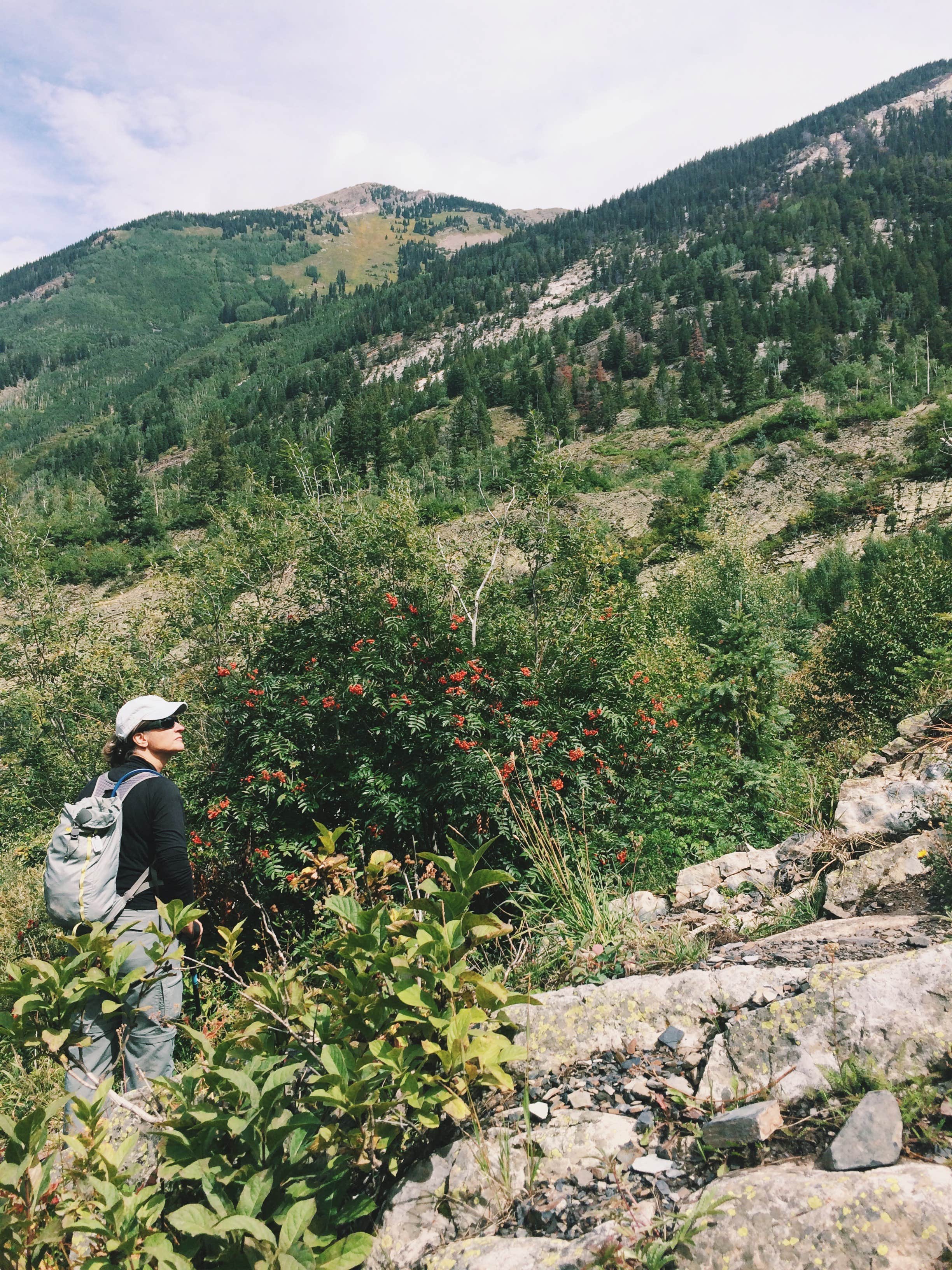 Bogan Flats Campground Grp S | Carbondale, CO