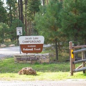 Jacob Lake Campground - Kaibab National Forest Camping | The Dyrt