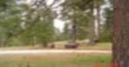 Camper-Submitted Photos of Lightning Point Group Campground