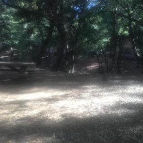 China Camp Campground Camping | The Dyrt