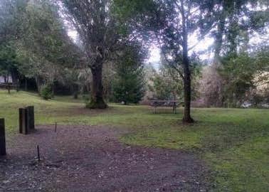 Tyee Campground (umpqua River) Camping | The Dyrt