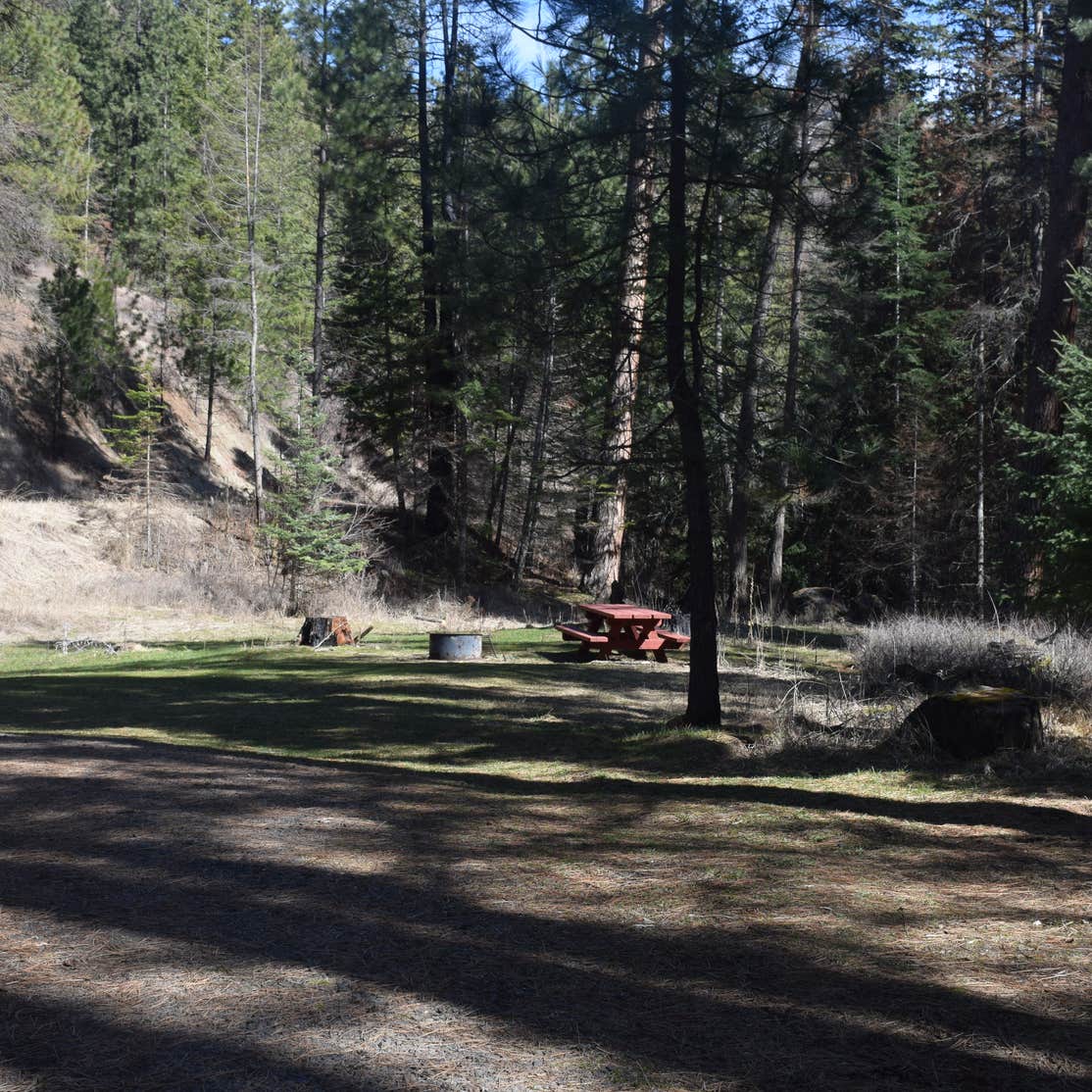 Ladybug Campground | Dayton, Washington