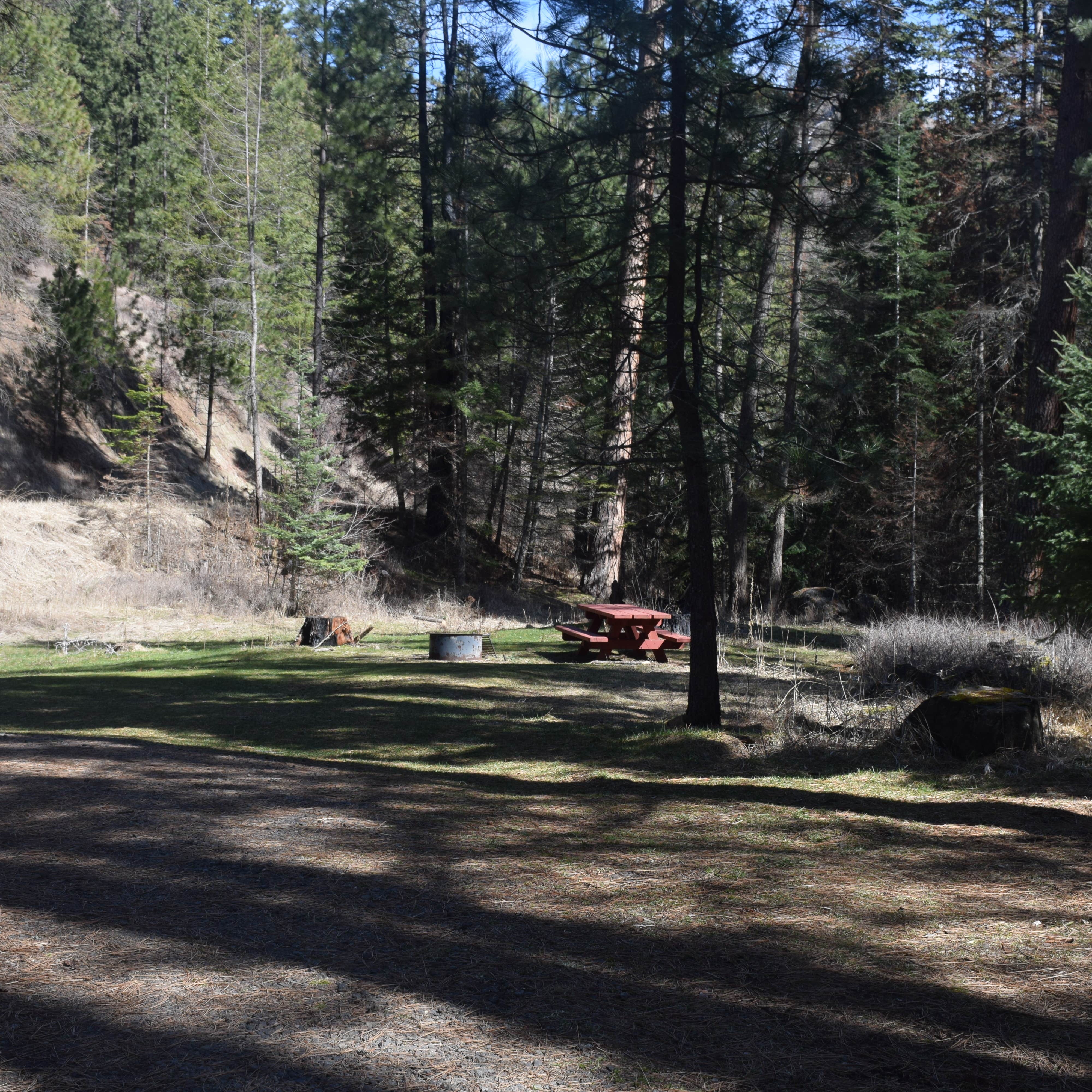 Ladybug Campground | Dayton, Washington