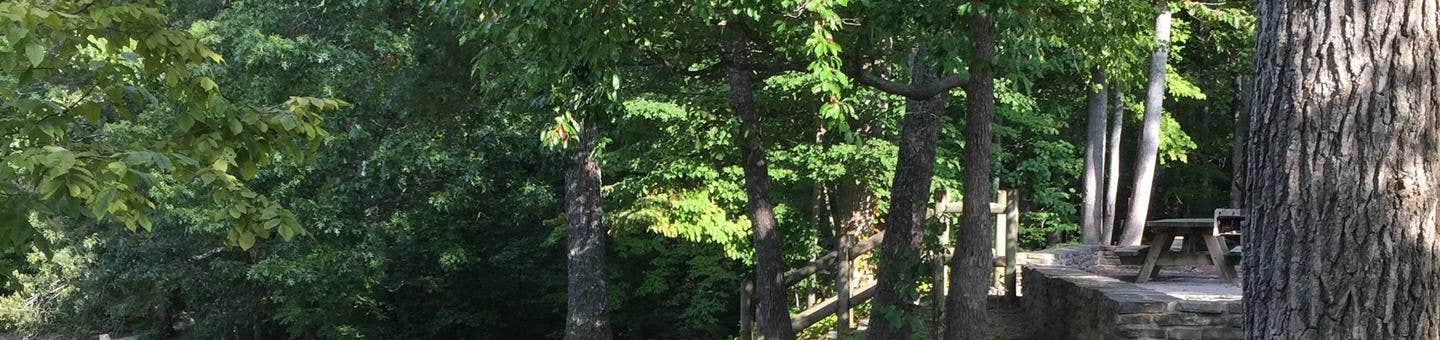 Chilhowee Recreation Area | Benton, TN