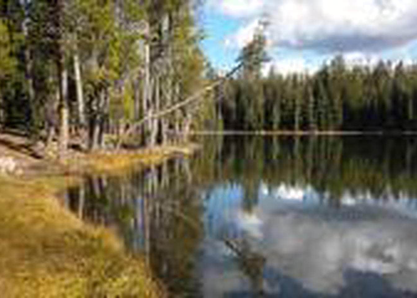 Summit Lake North Camping | The Dyrt