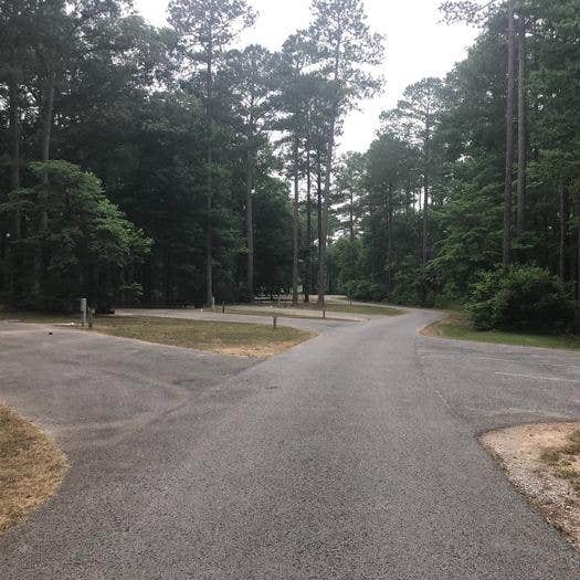 Corinth Recreation Area Camping | The Dyrt