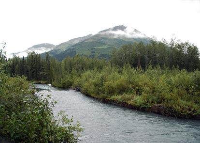THE 10+ BEST Campgrounds near Hope, AK