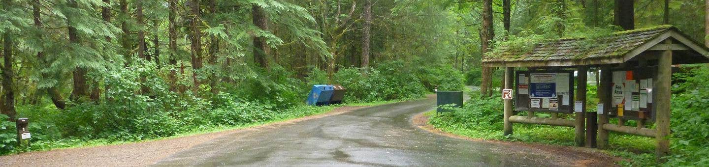 Last Chance Campground | Ward Cove, AK