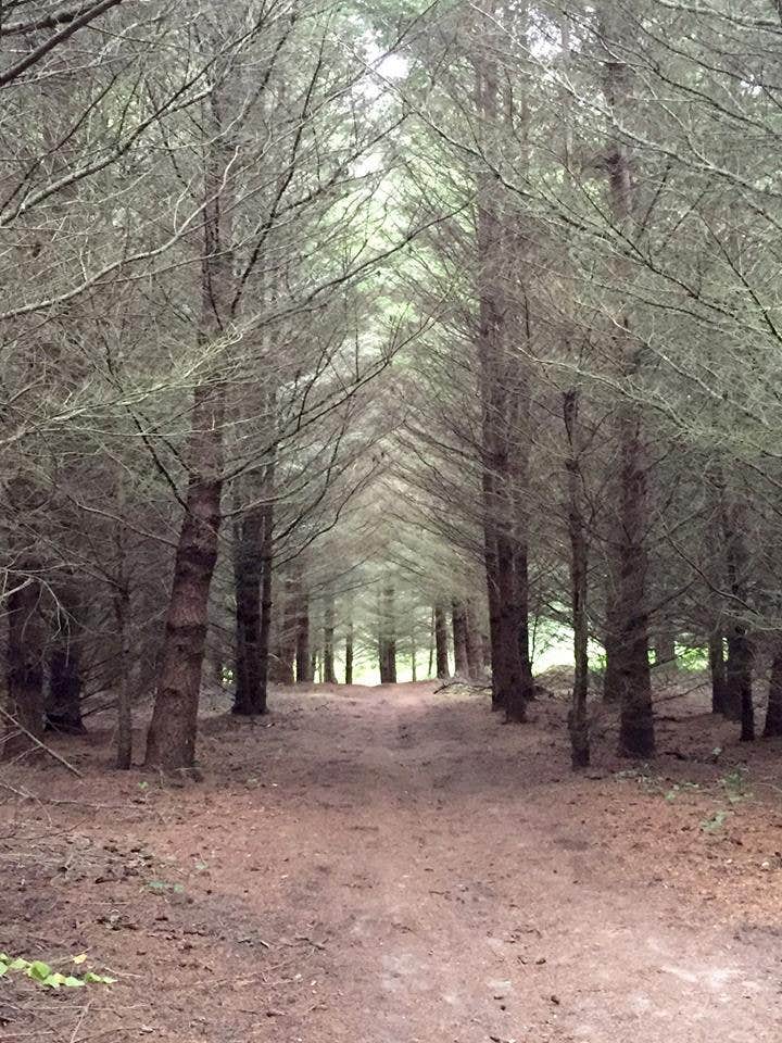 Wildcat Campground — Point Reyes National Seashore | Raymond, CA