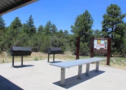 Timber Camp Recreation Area and Group Campgrounds Camping | The Dyrt