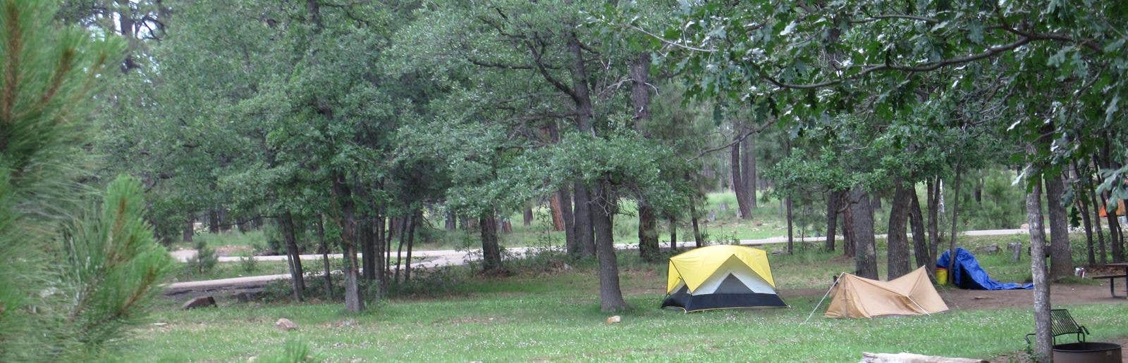 Aspen Campground at Woods Canyon Camping | The Dyrt