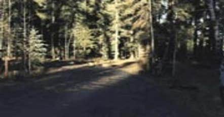 Rainbow (AZ) Camping | Greer, AZ