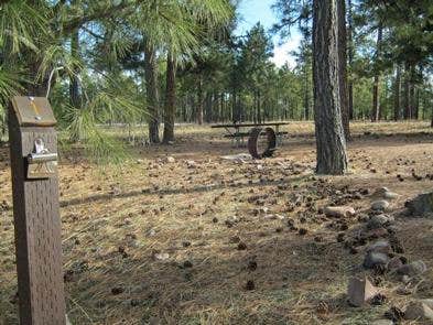 THE 10+ BEST Campgrounds near Heber-Overgaard, AZ | Updated 2025