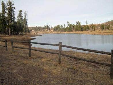 THE 10+ BEST Campgrounds near Heber-Overgaard, AZ | Updated 2025