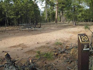 THE 10+ BEST Campgrounds near Heber-Overgaard, AZ | Updated 2025