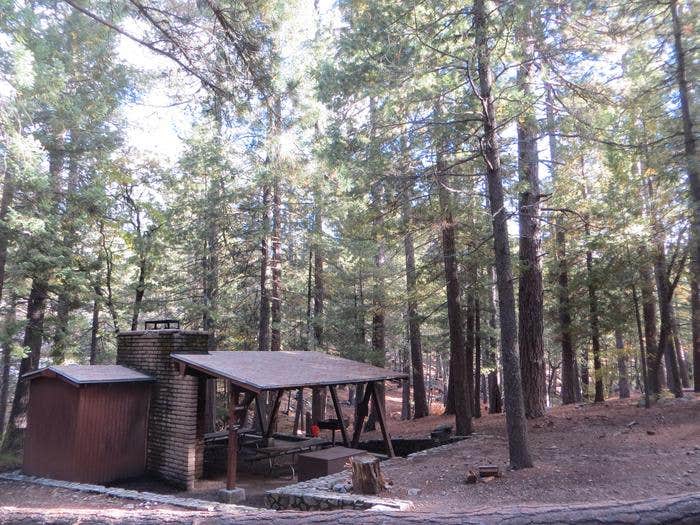 Ringtail Loop Campground — Catalina State Park | Oro Valley, Arizona