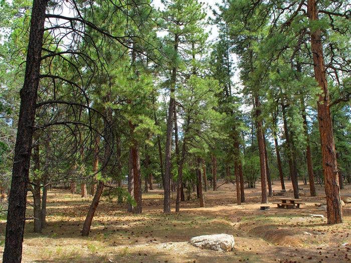 THE 10+ BEST Campgrounds in Arizona