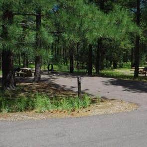 Potato Patch Campground Camping | The Dyrt