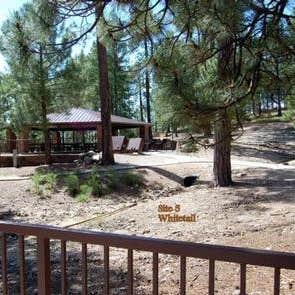 Whitetail Campground Camping | The Dyrt