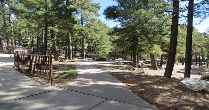 Whitetail Campground | Mt. lemmon, AZ