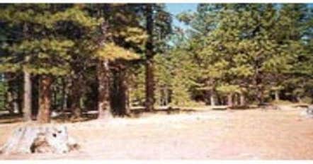 Almanor | Canyondam, CA