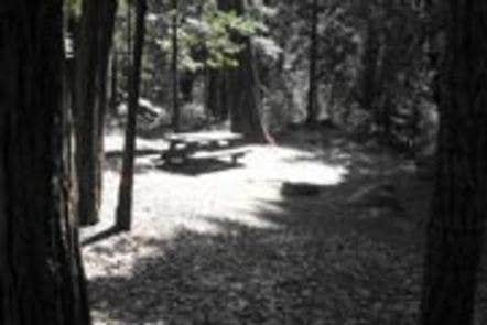 Sequoia National Forest Belknap Campground | Camp Nelson, CA