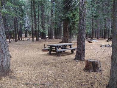 Camp Edison Camping | The Dyrt