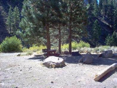 Boyington Mill Camping | Truckee, CA