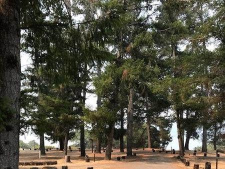 Bushay Recreation Area Camping | The Dyrt