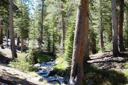 THE 10+ BEST Campgrounds near Inyo National Forest
