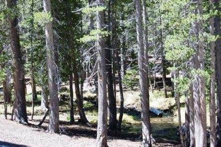 THE 10+ BEST Campgrounds near Inyo National Forest