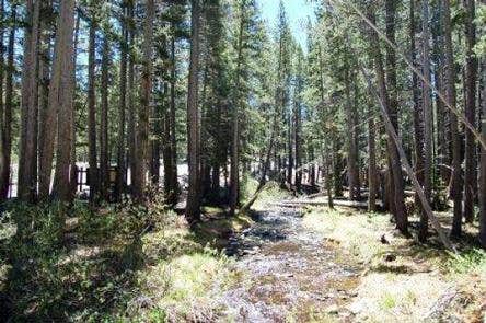 THE 10+ BEST Campgrounds near Inyo National Forest