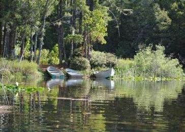 Fish Lake Campground Camping | The Dyrt