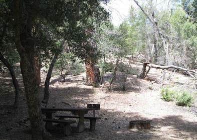 Fry Creek Campground Camping | The Dyrt