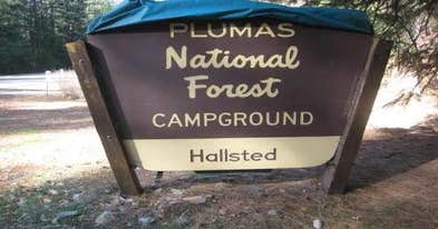 Camper-Submitted Photos of Plumas National Forest Hallsted Campground