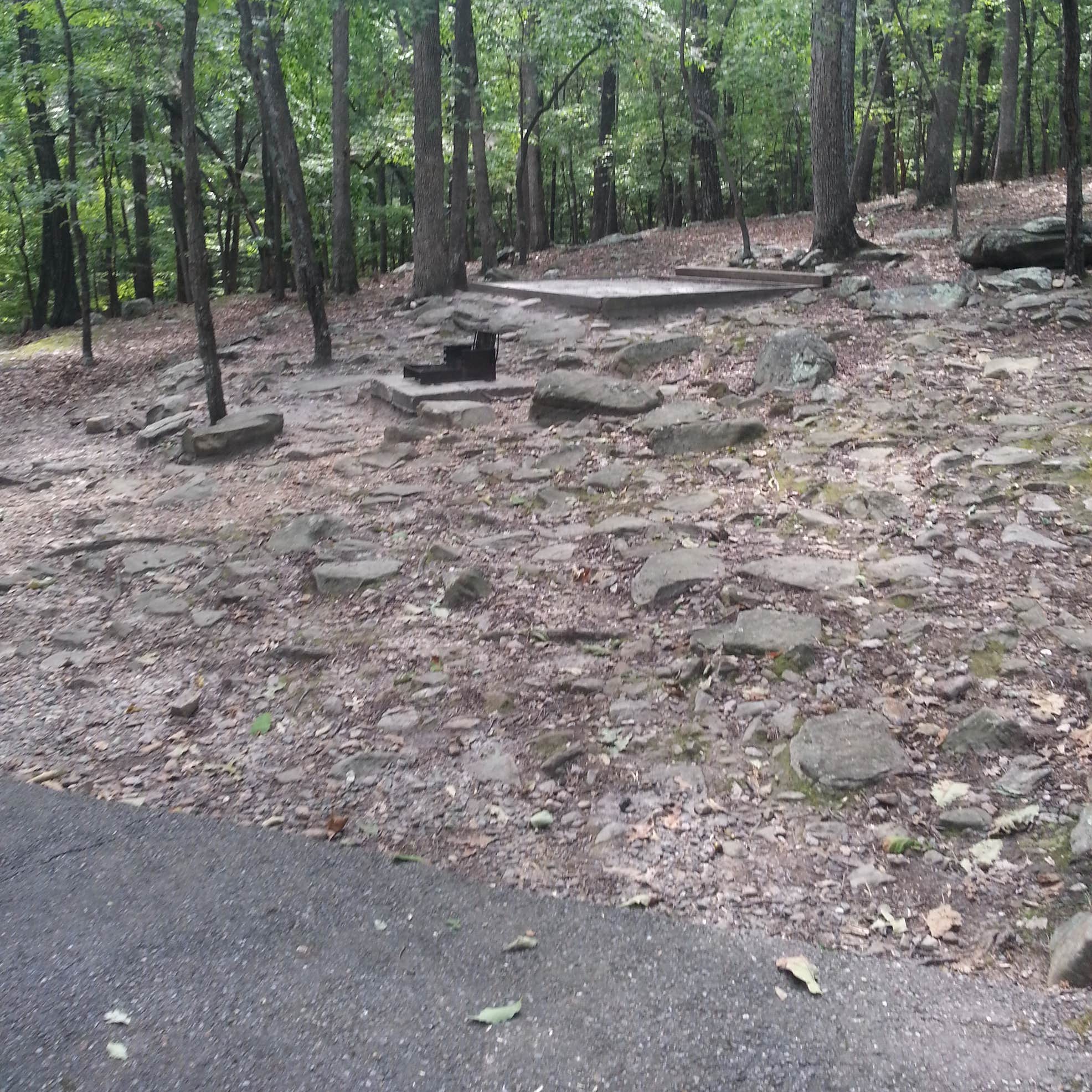 Pilot Mountain State Park Campground Camping | The Dyrt